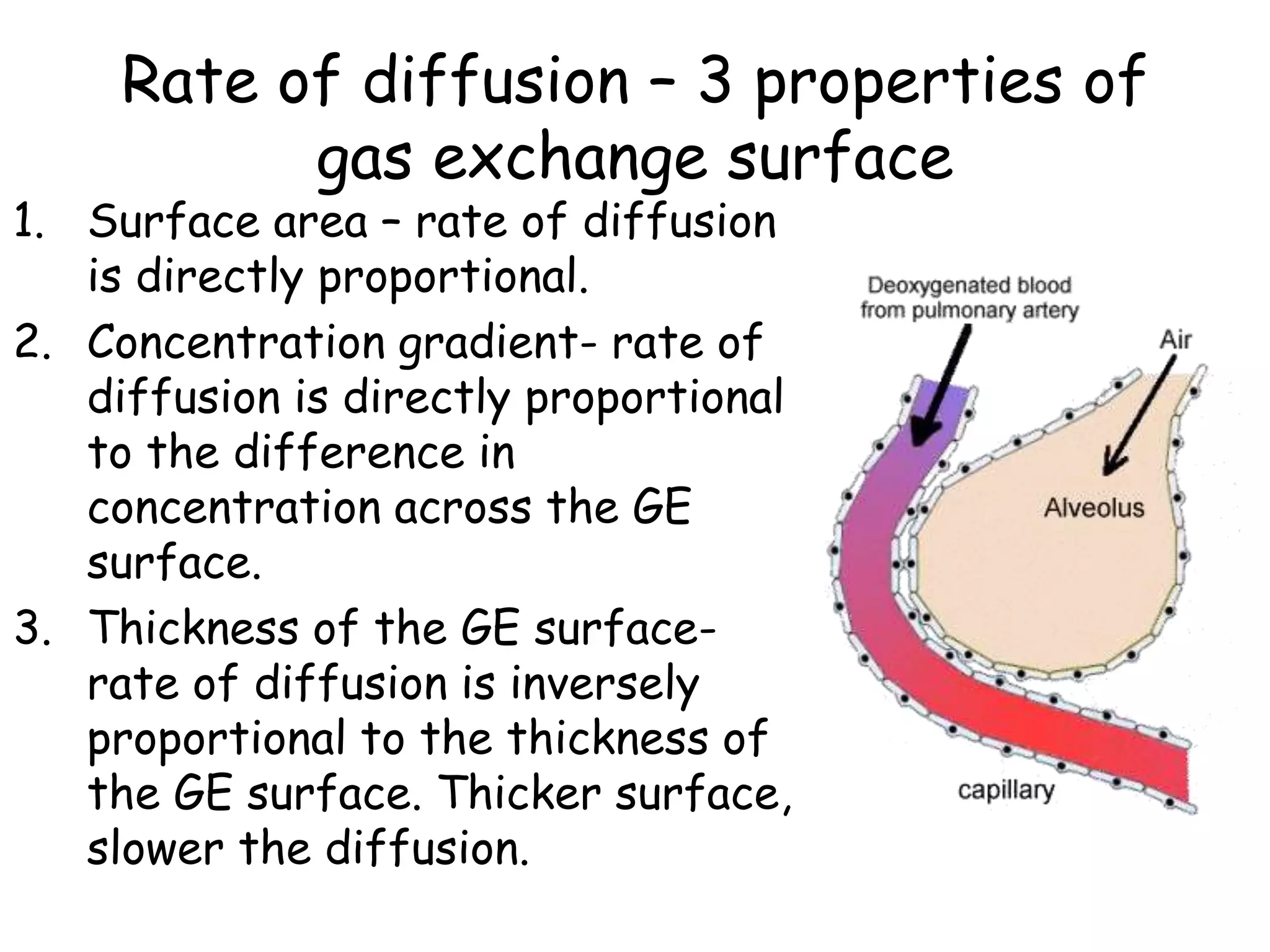 Lung structure function_and_cellular_function | PPTX