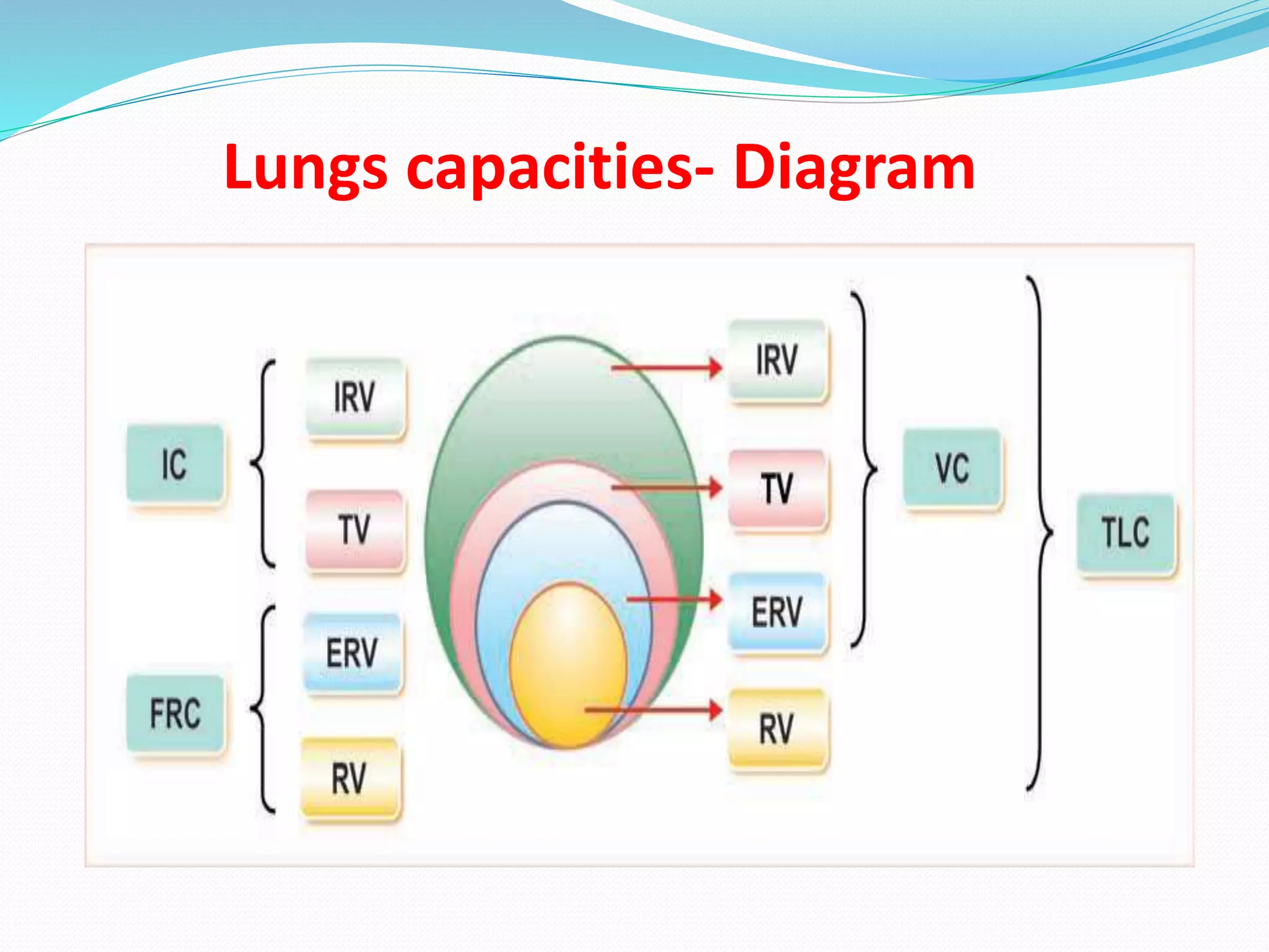 Lungs volume and Capacities | PPTX