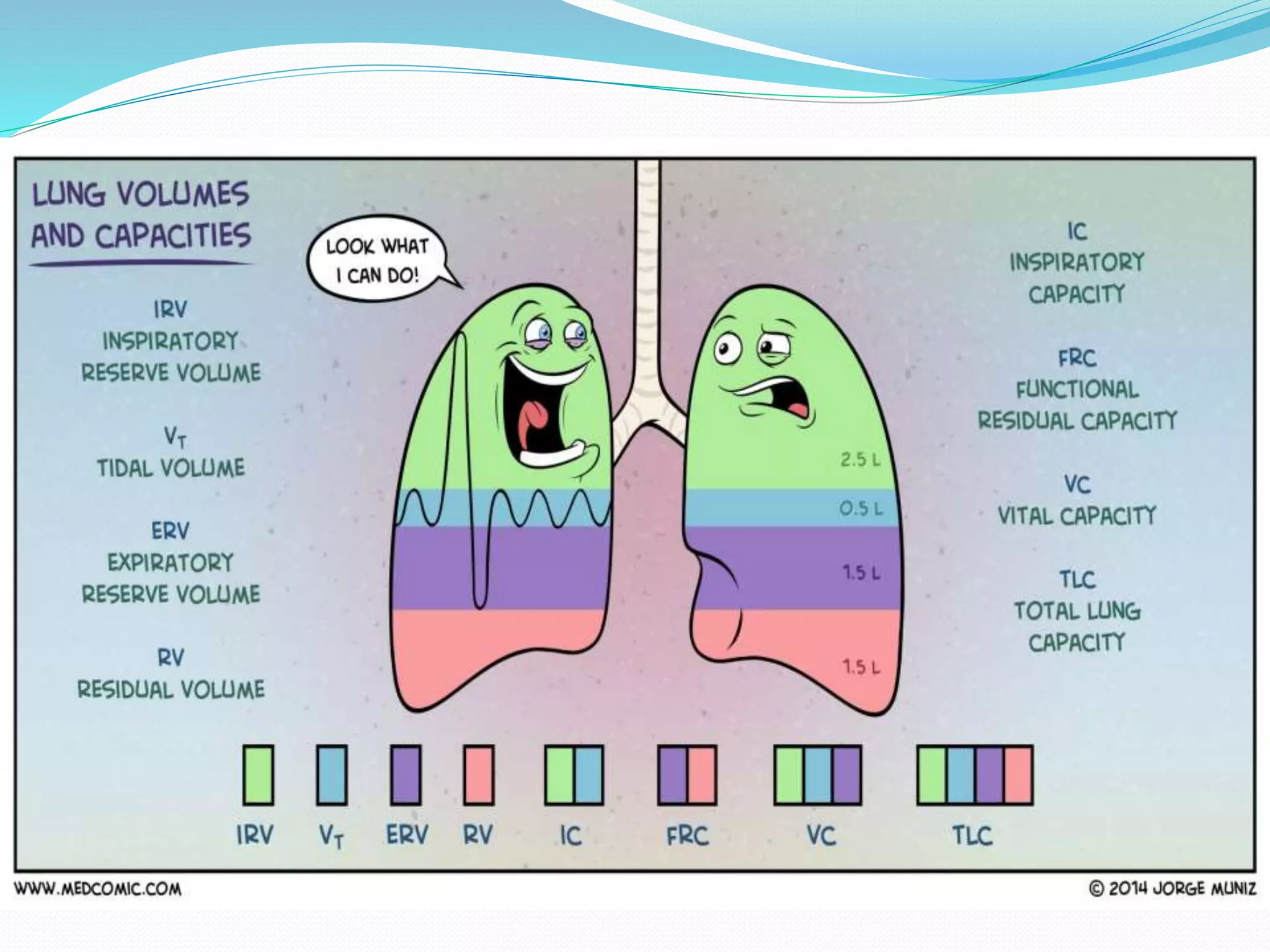 Lungs volume and Capacities | PPTX