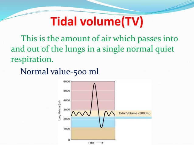 Lungs volume and Capacities | PPTX