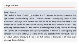 Human Lungs Volume | PPTX