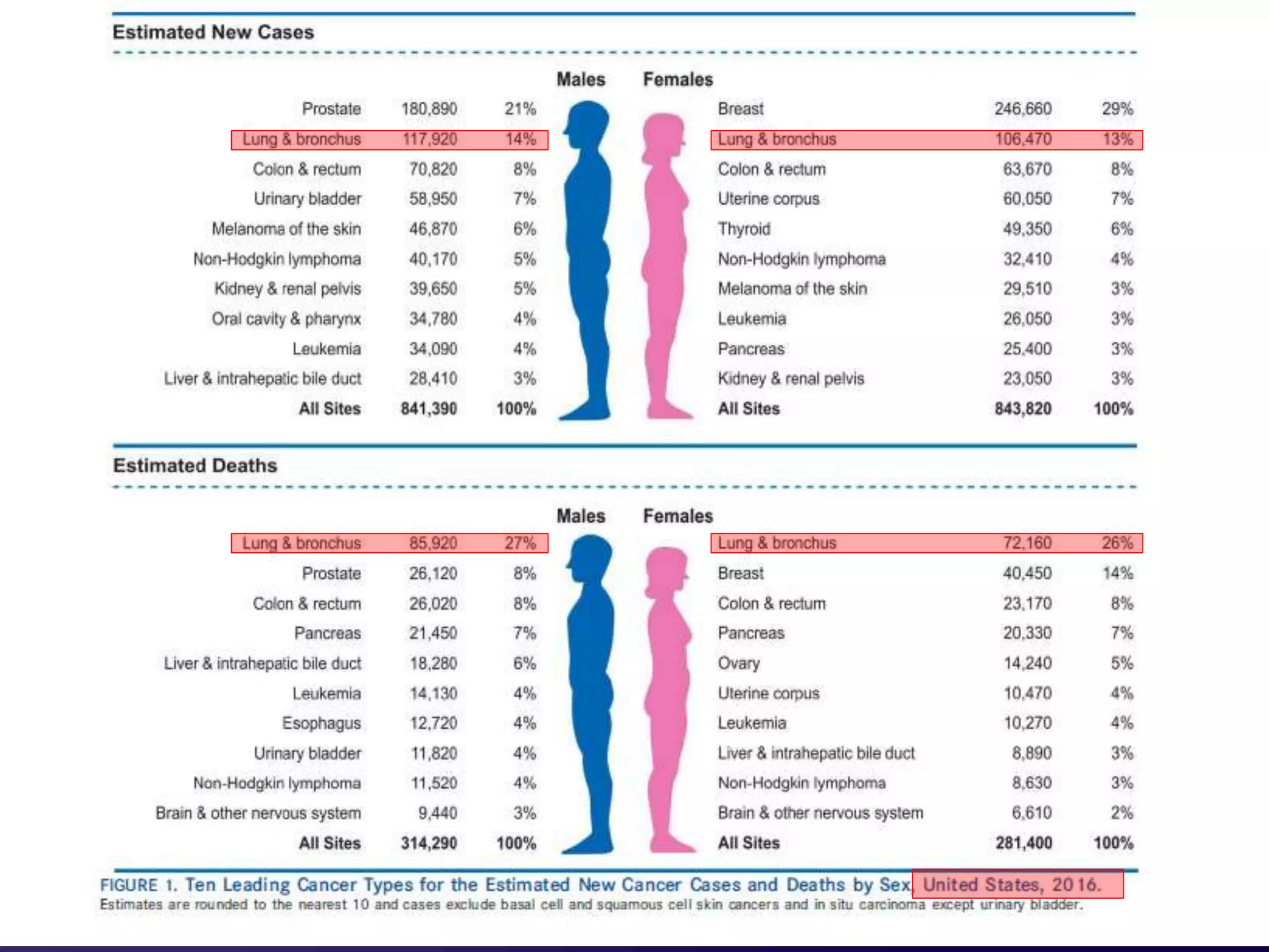 Lung tumors dr. rishi | PPTX | Cancer | Diseases and Conditions