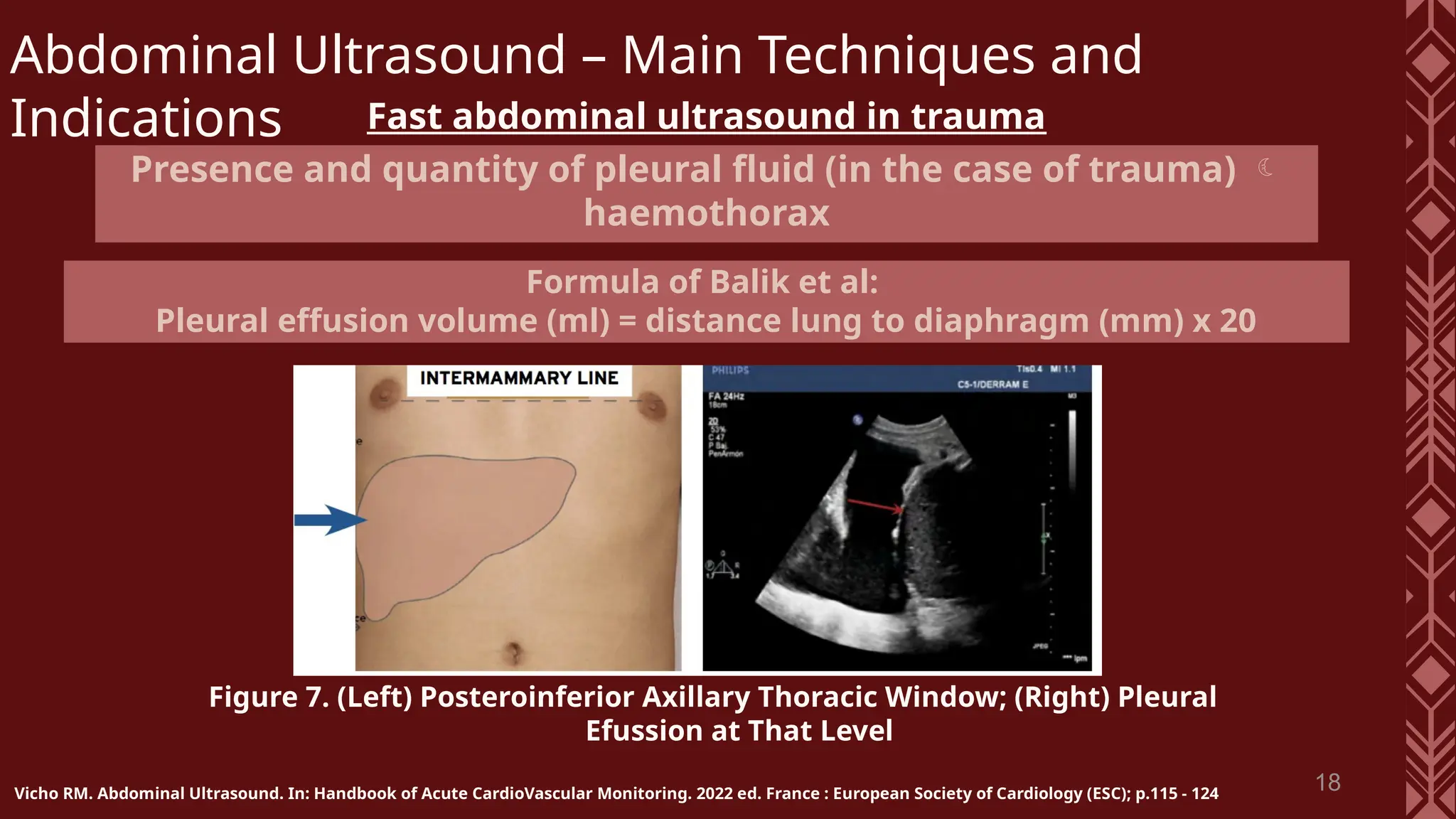 Lung Ultrasound and Abdominal Ultrasound.pptx