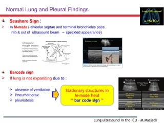 Lung ultrasound in critical care 10.1.2019