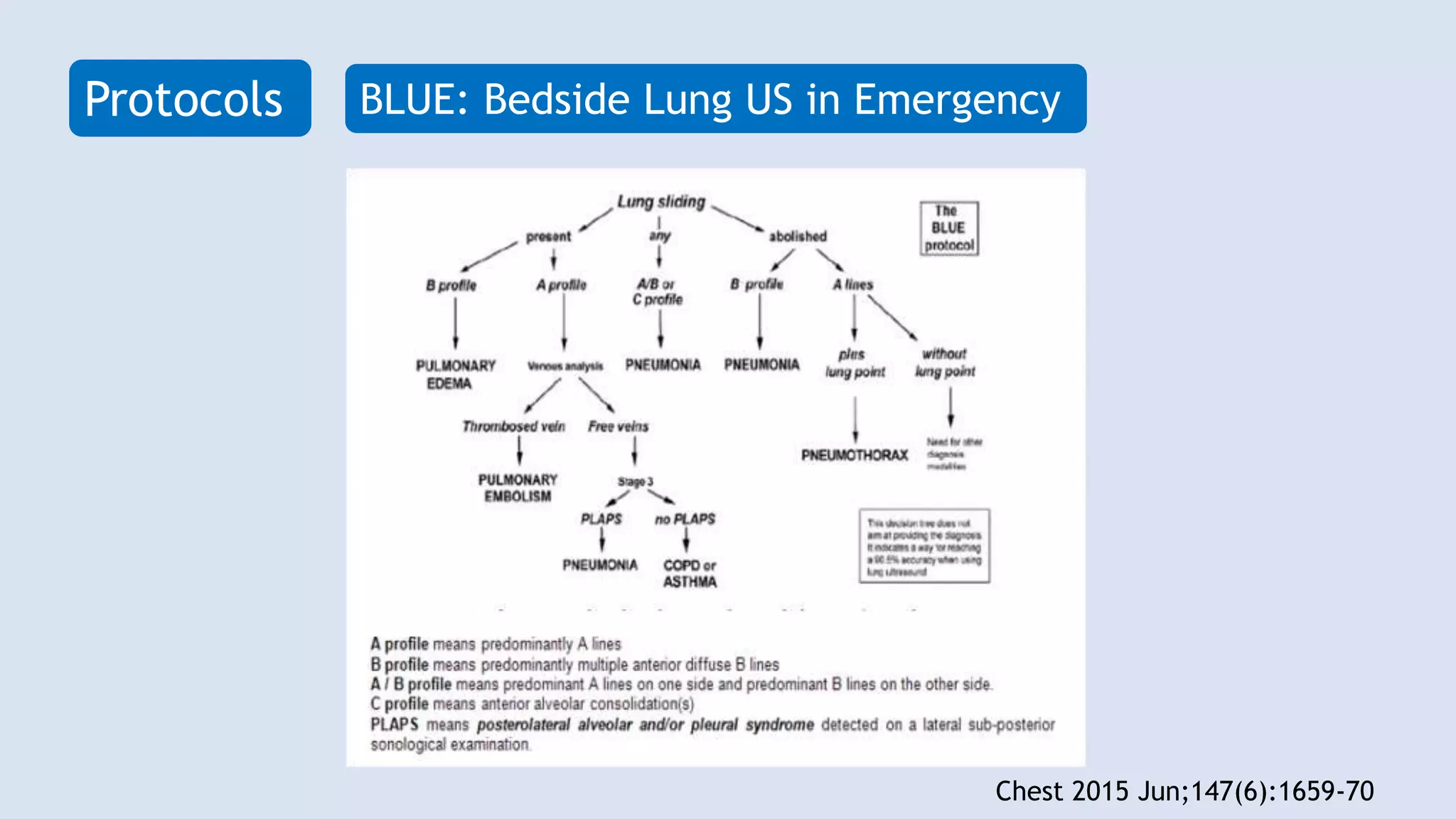 Lung Ultrasound in Cardiac Care | PPT | Free Download