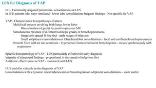 Lung usg for vap | PPTX