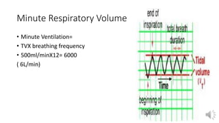 Lung volume and capacity | PPTX | Lung and Respiratory Health ...