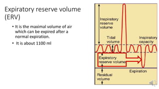 Lung volume and capacity | PPTX | Lung and Respiratory Health ...