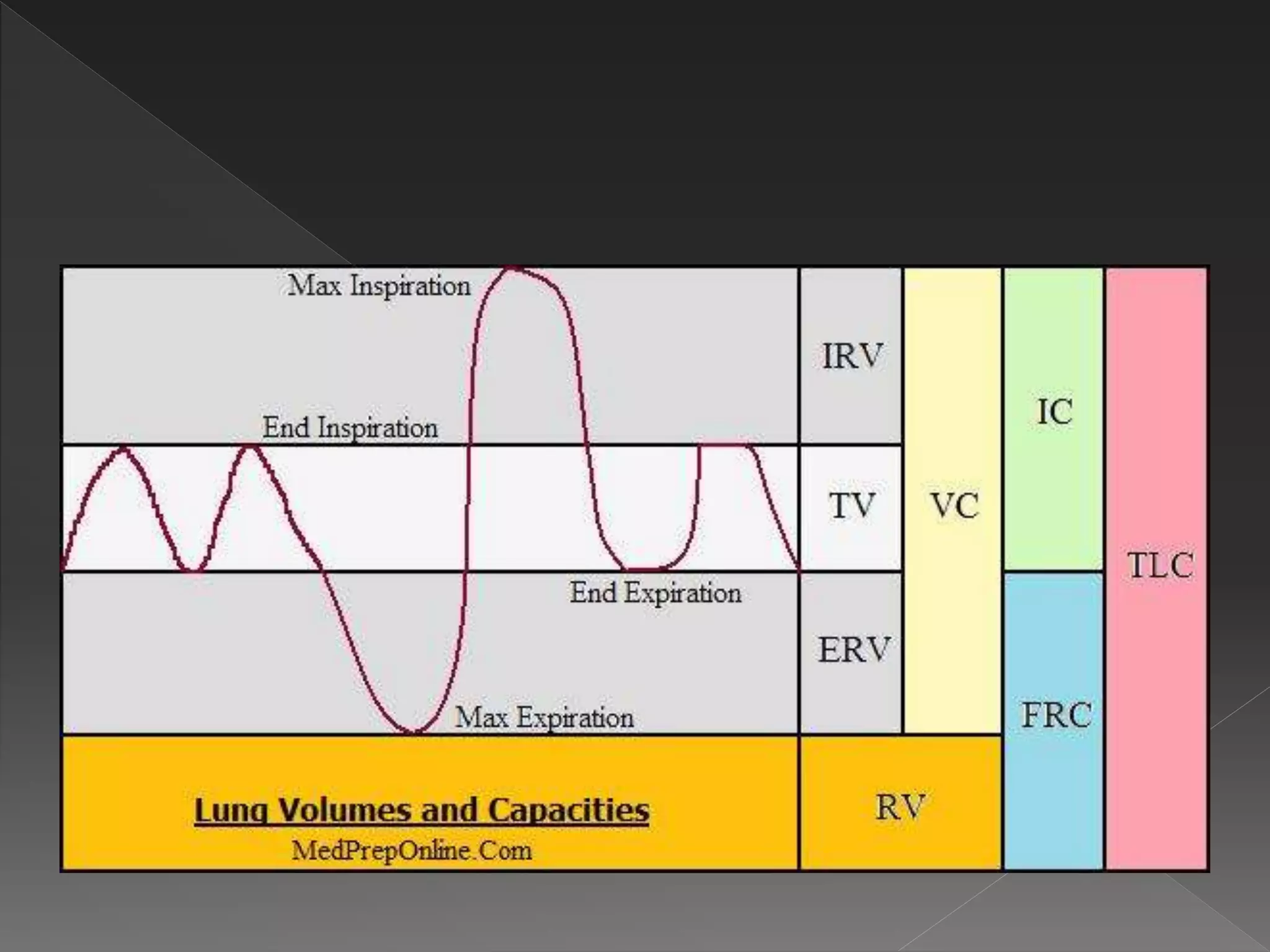 Lung volume and capacities | PPTX