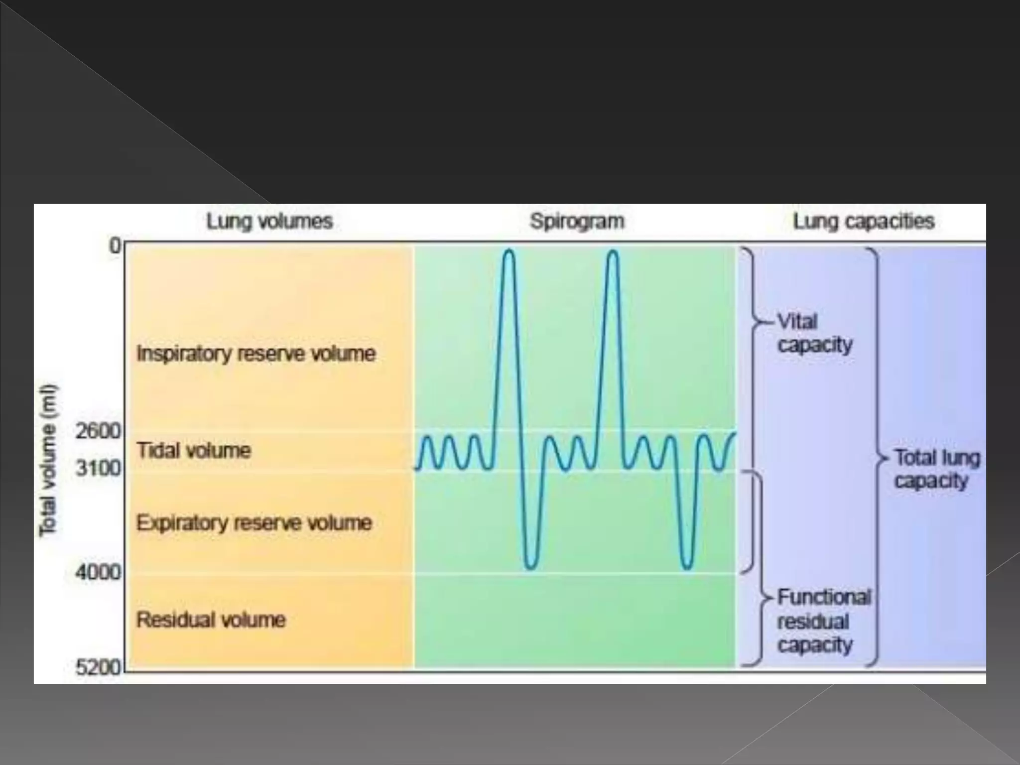 Lung volume and capacities | PPTX