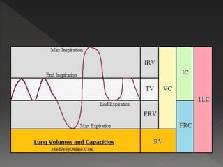 Vital Capacity Graph