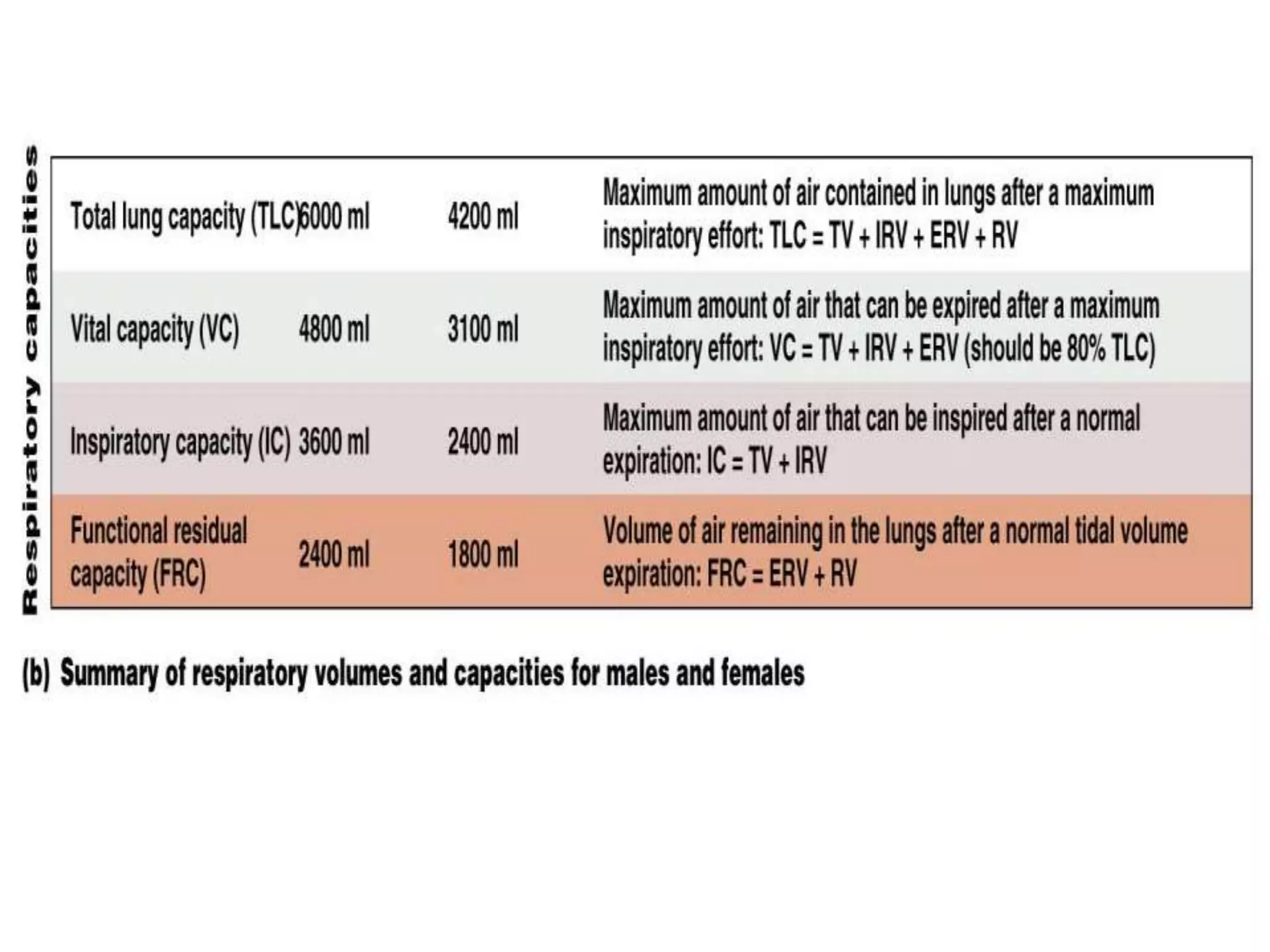 Lung volume and capacities | PPTX