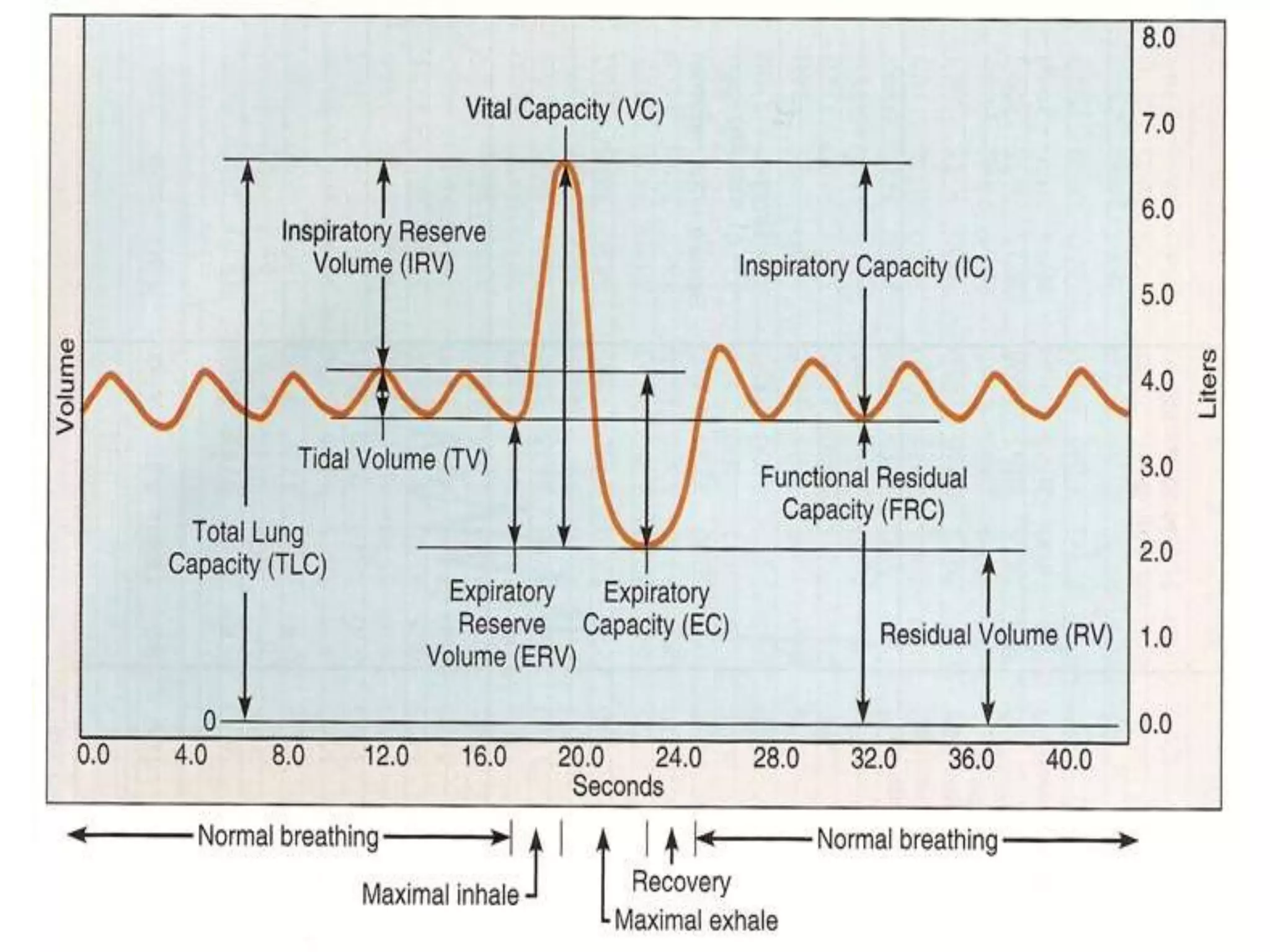 Lung volume and capacities | PPTX