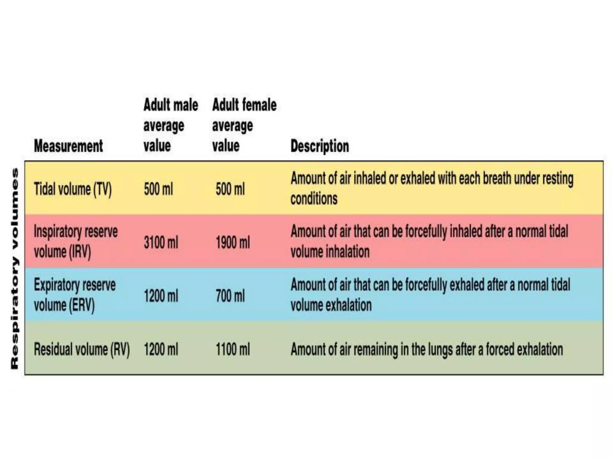 Lung volume and capacities | PPTX