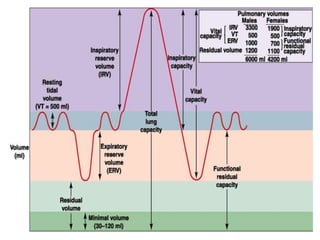 Lung volume and capacities | PPTX