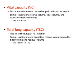 Lung volume and capacities | PPT | Free Download