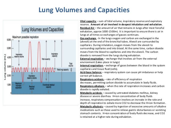 Lung volume and capacity