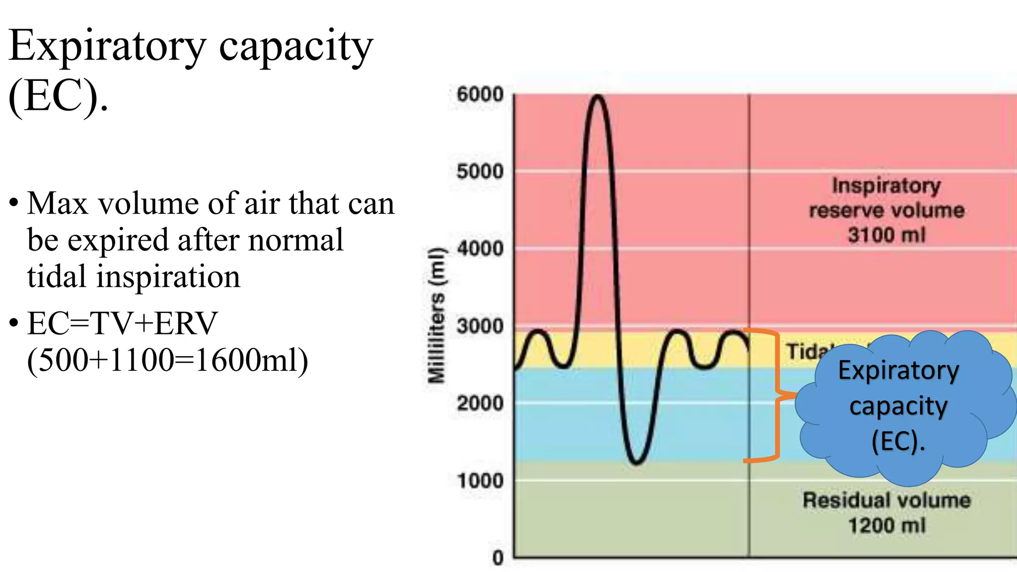 lung volume and capacity - lecture.pptx