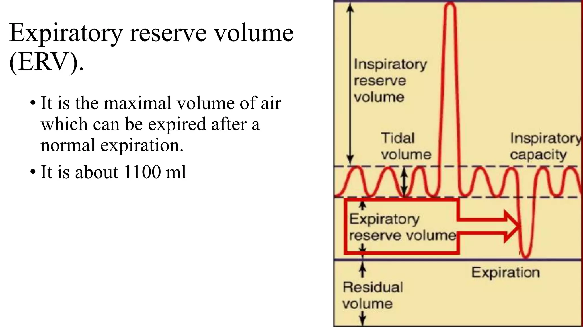 lung volume and capacity - lecture.pptx