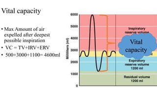lung volume and capacity - lecture.pptx
