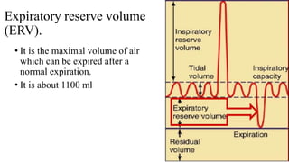 lung volume and capacity - lecture.pptx