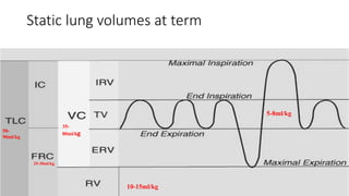 Lung volumes and capacities | PPTX