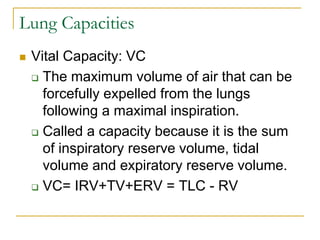 Lung Volumes and Capacities.pptx | Lung and Respiratory Health ...