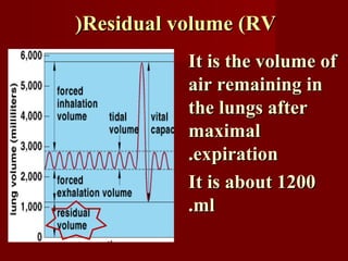 Lung volumes and capacities | PPT