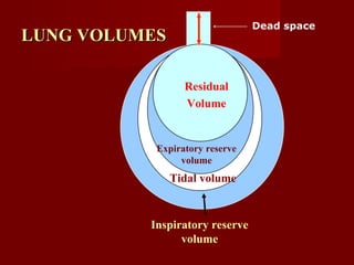 Lung volumes and capacities | PPT