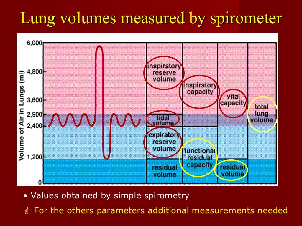 Lung volumes and capacities