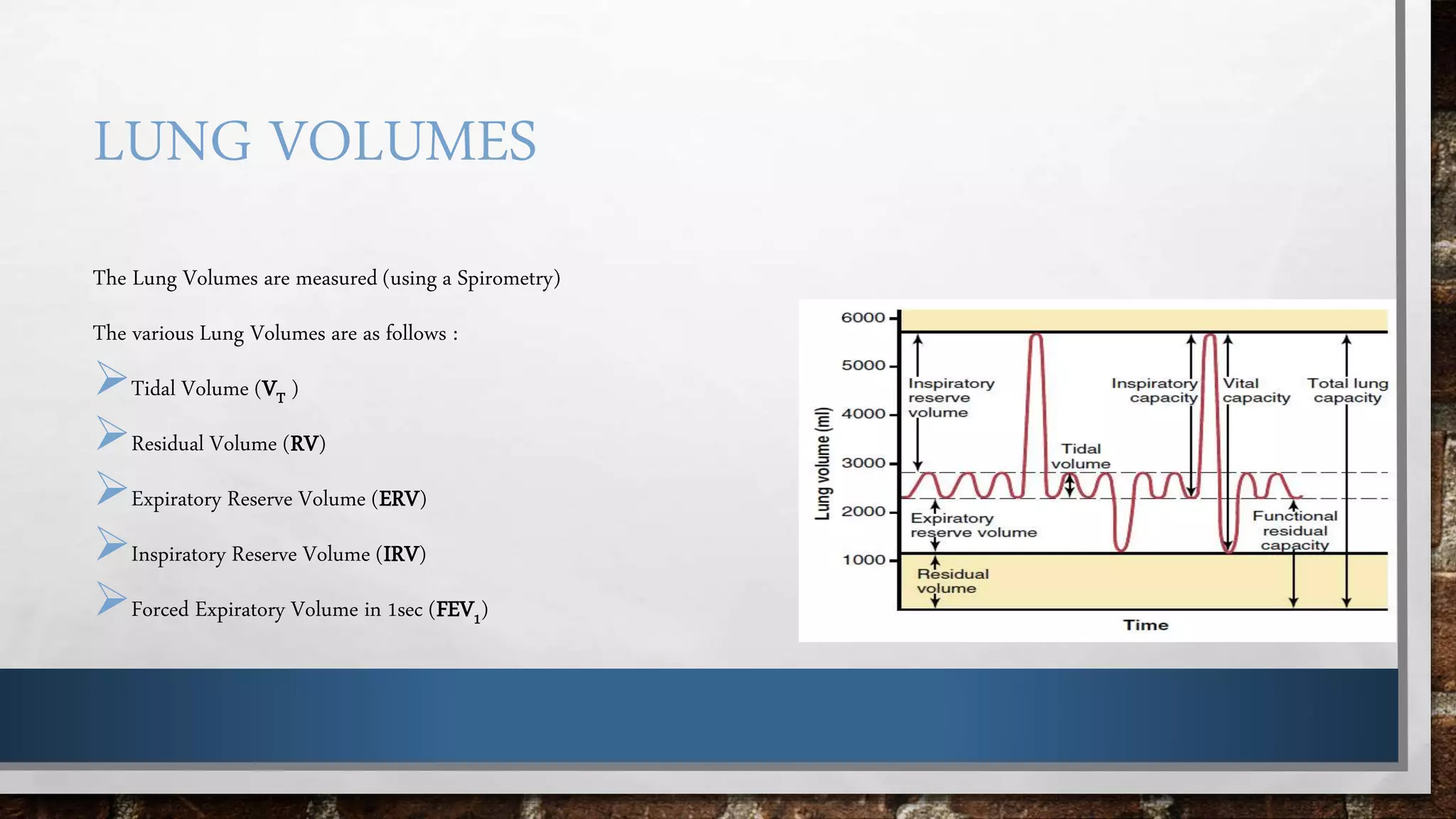 Lung volumes & capacities and Dead Space | PPTX