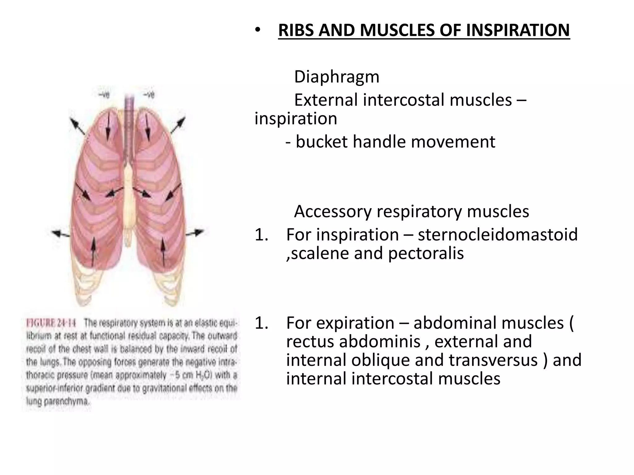 Lung volumes capacities pfts | PPTX
