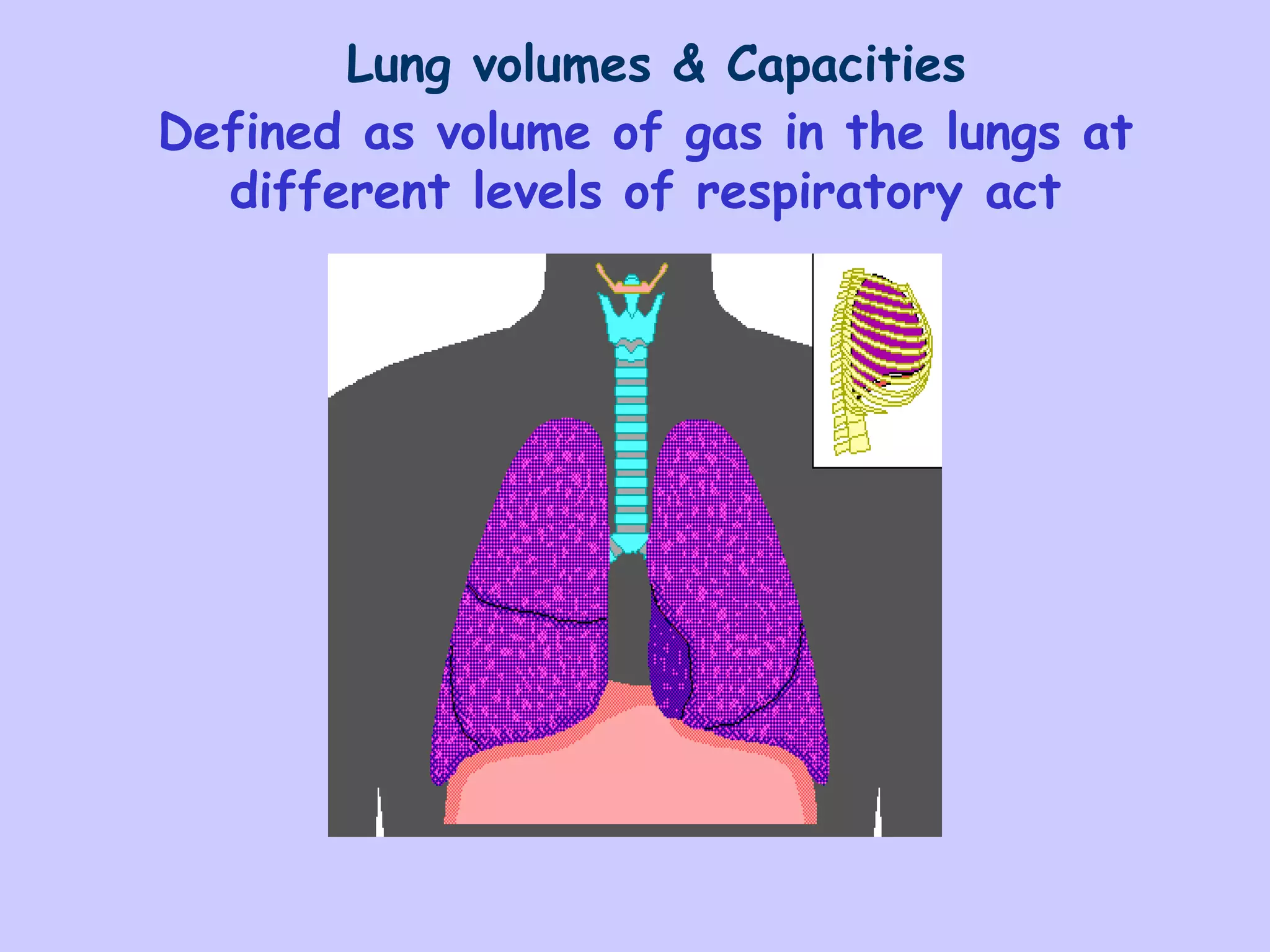 Lung volumes & capacities SR 2012-13.ppt