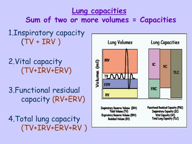 Lung volumes & capacities SR 2012-13.ppt