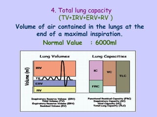 Lung volumes & capacities SR 2012-13.ppt