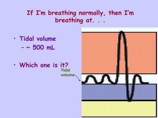 Lung volumes & capacities SR 2012-13.ppt