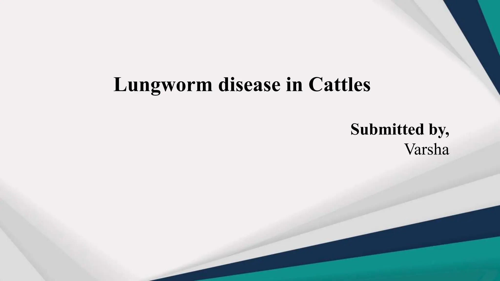 Lungworm disease in ruminants-Cause and control.pptx