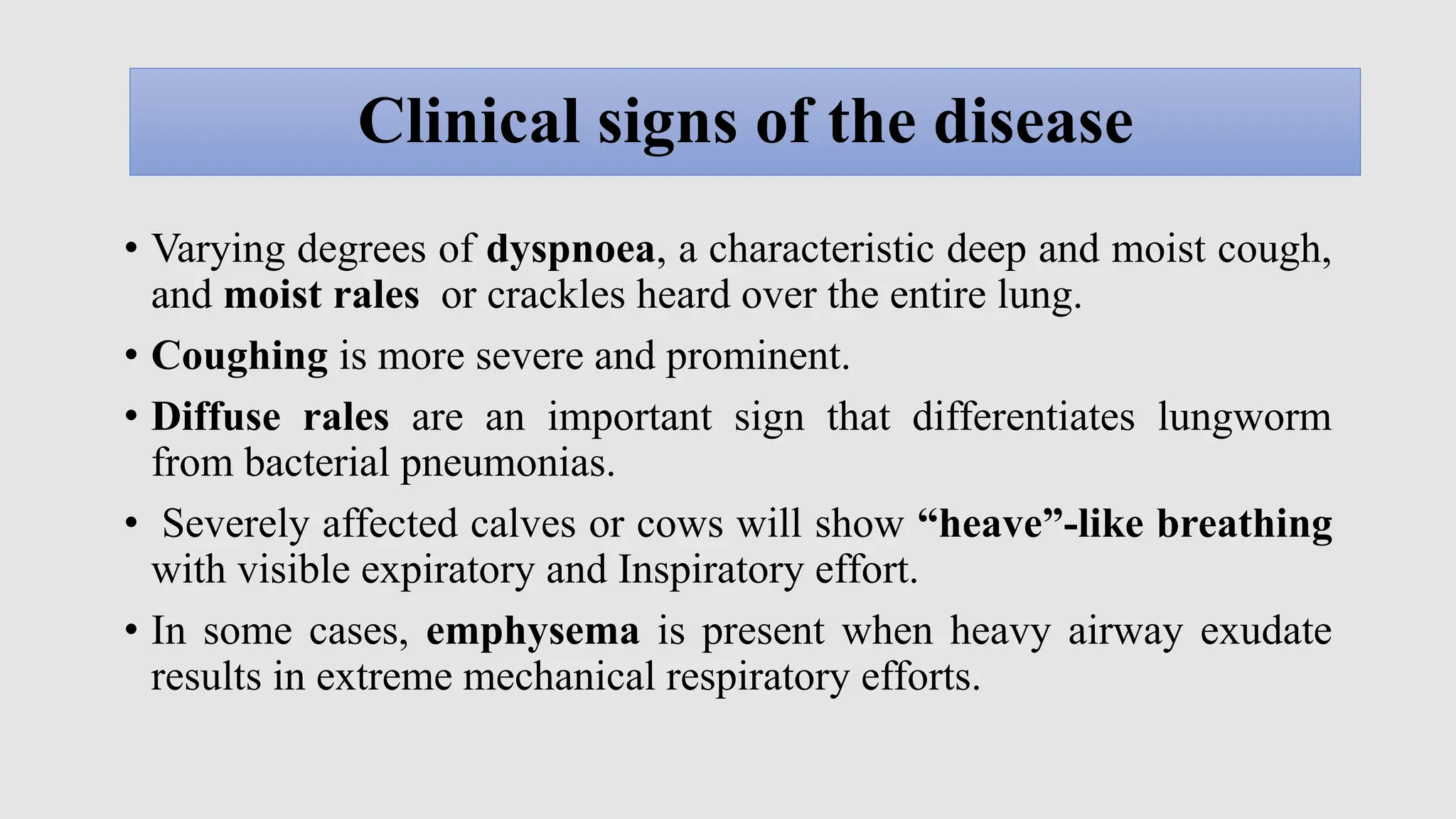 Lungworm disease in ruminants-Cause and control.pptx