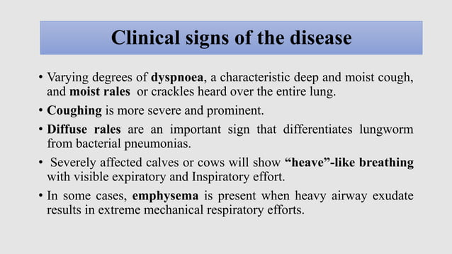 Lungworm disease in ruminants-Cause and control.pptx