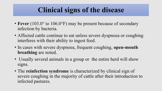 Lungworm disease in ruminants-Cause and control.pptx