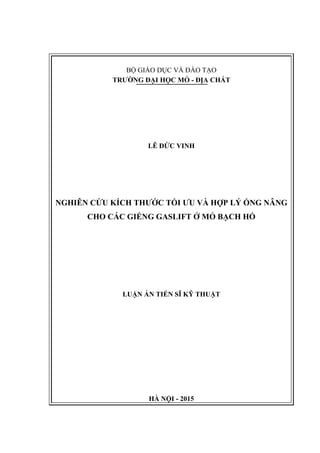 Luận án tiến sĩ kỹ thuật nghiên cứu kích thước tối ưu và hợp lý ống nâng cho các giếng gaslift ở ...
