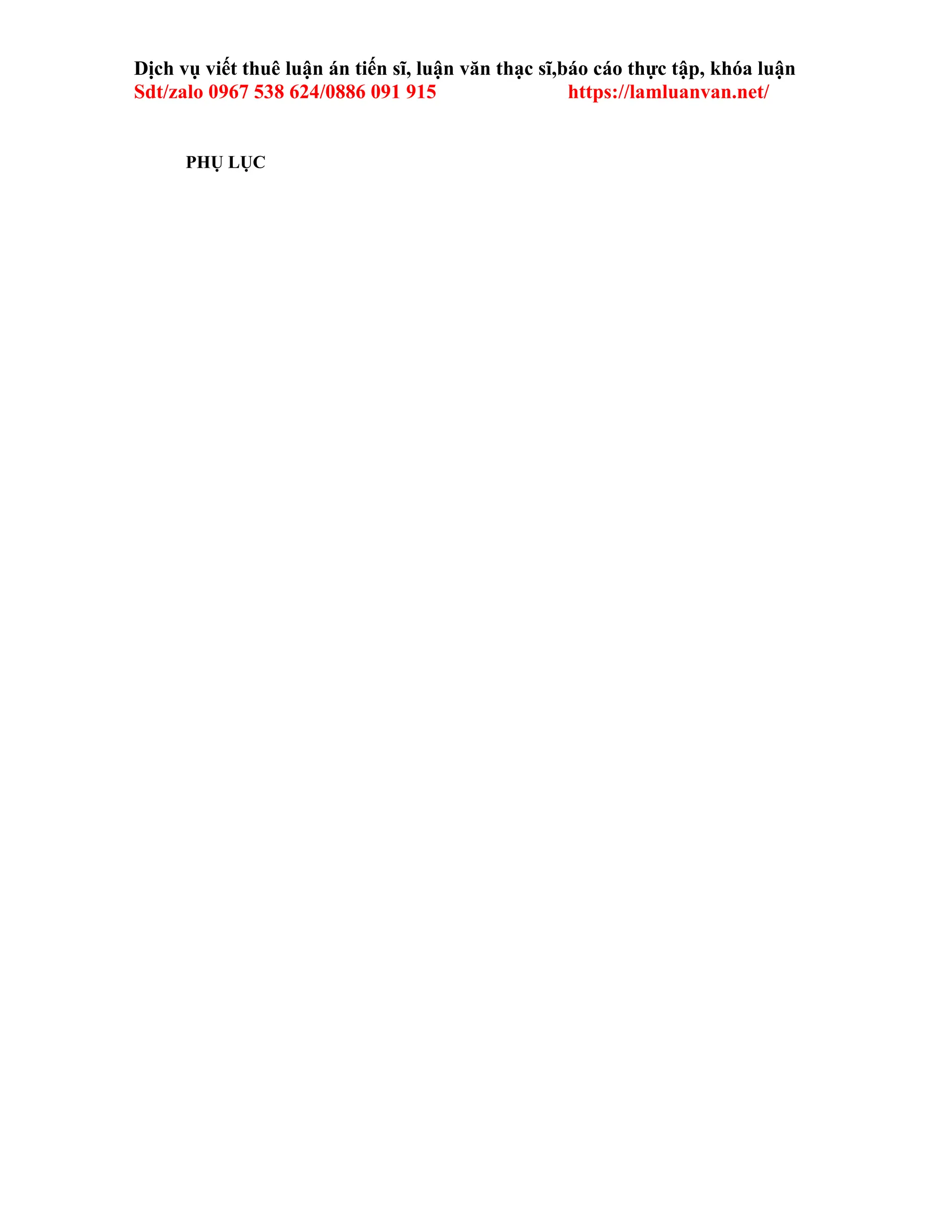 Đề tài luận văn 2024 Phân tích tình hình tài chính công ty cổ phần thực phẩm Đức Việt | DOCX