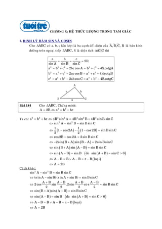 Luong giac chuong 10 | PDF