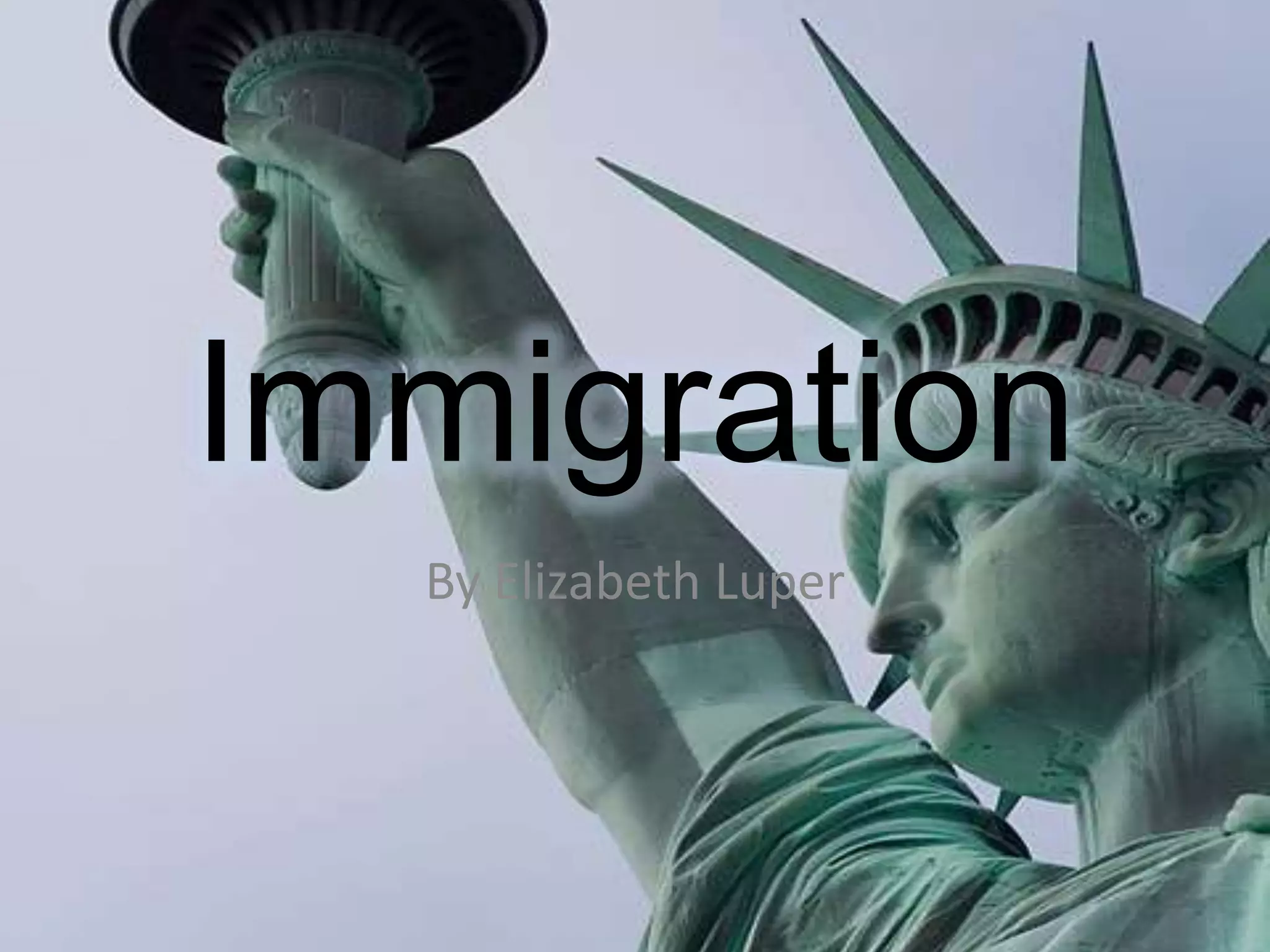 Immigration in the United States | PPTX