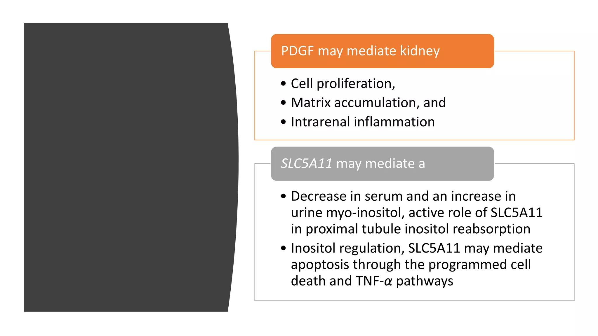 Lupus nephritis etiology & pathogenesis | PPTX