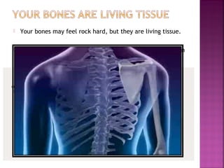 Lupus.and.bonehealth | PPT | Bone and Joint Conditions | Diseases and ...