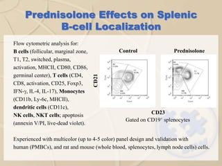 BRM's Validated Lupus Model | PPTX
