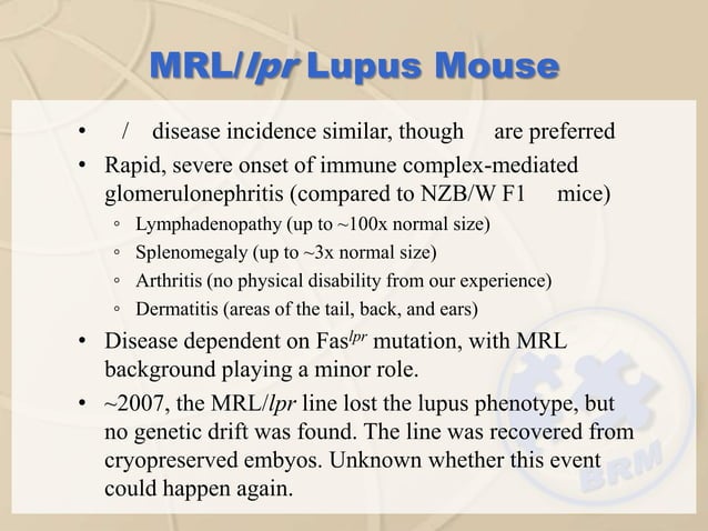 BRM's Validated Lupus Model | PPTX