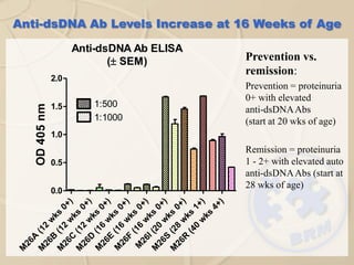 BRM's Validated Lupus Model | PPTX