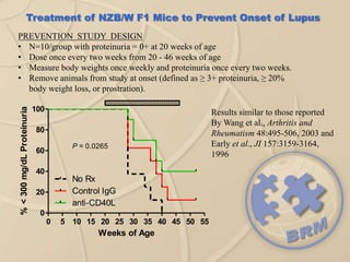 BRM's Validated Lupus Model | PPTX